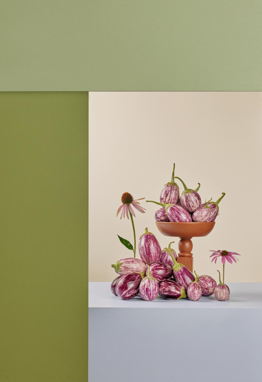 Embrace a vibe shift with the transformative power of paint | Ensemble ...