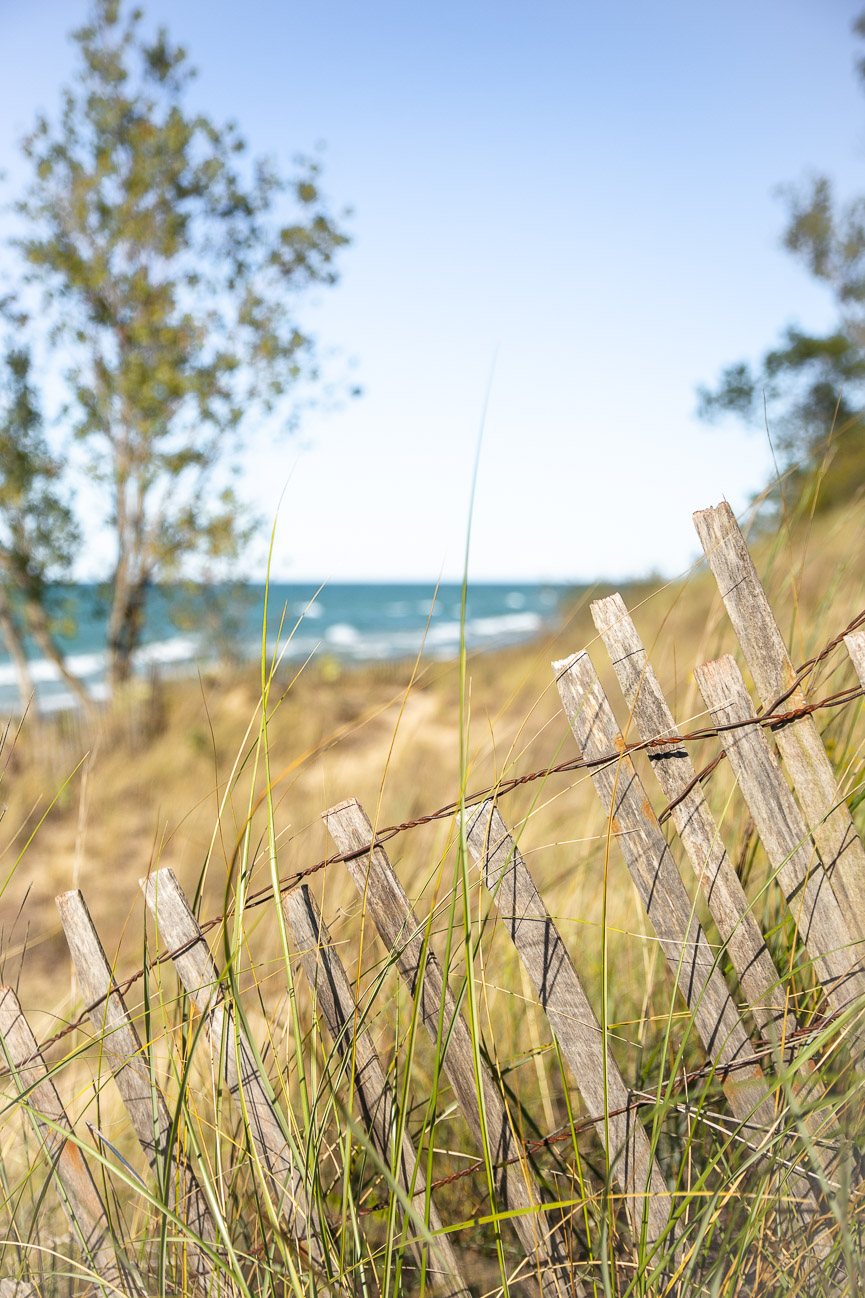 A Guide to Indiana Dunes National Park