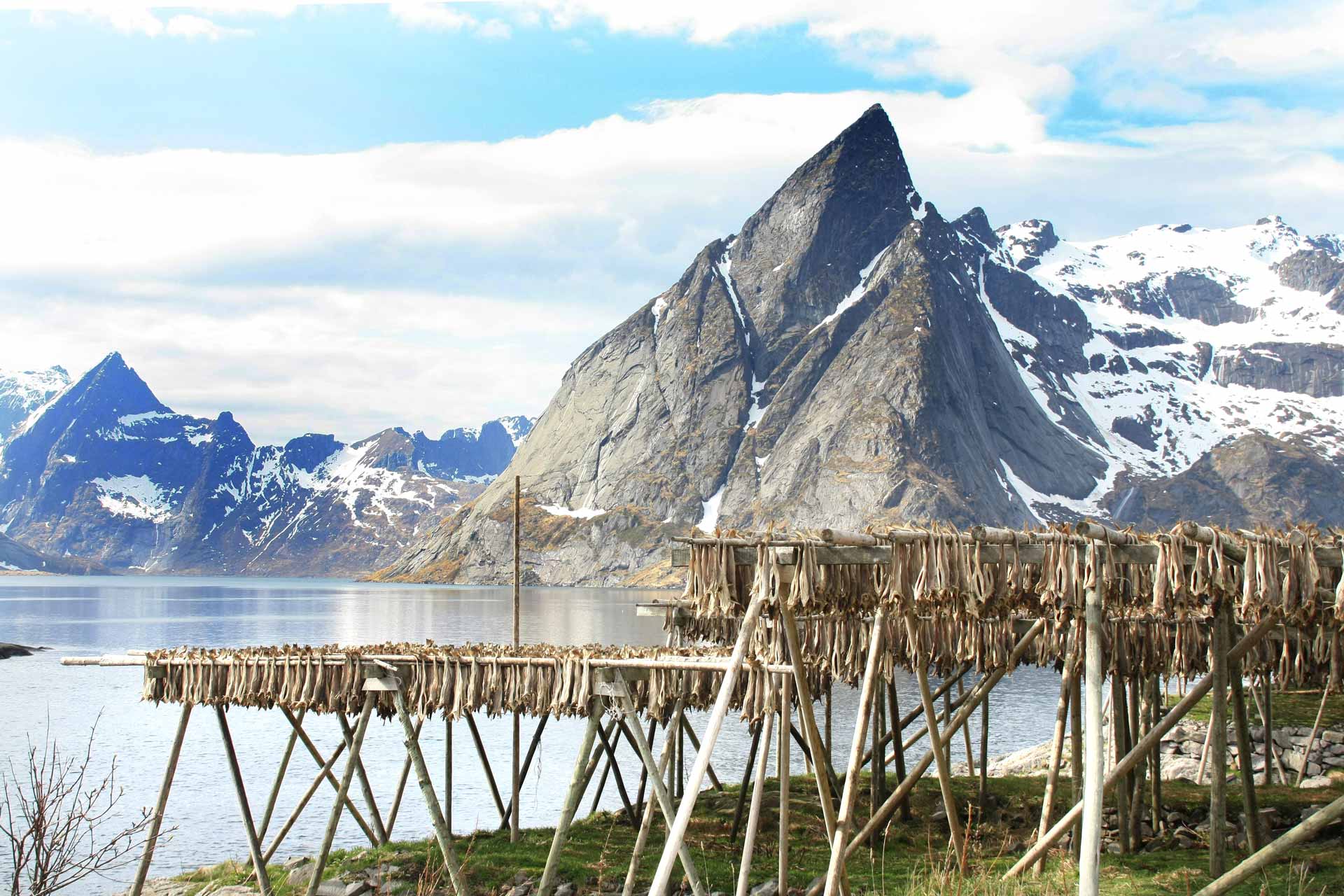 Lofoten | Arctic Guide Service