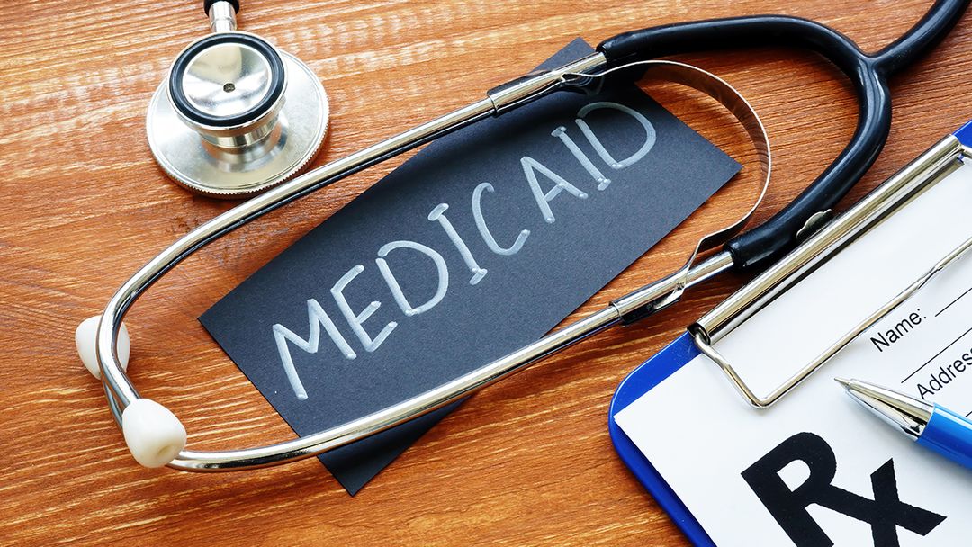 What is in the ACCESS Florida Medicaid Application