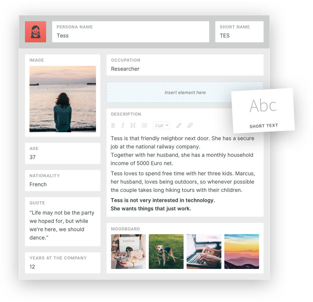 Persona mapping tool | Smaply