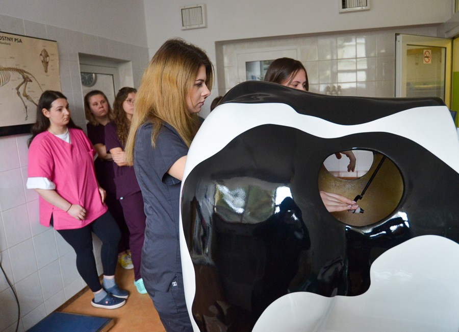 Veterinary Simulators - Virtalis