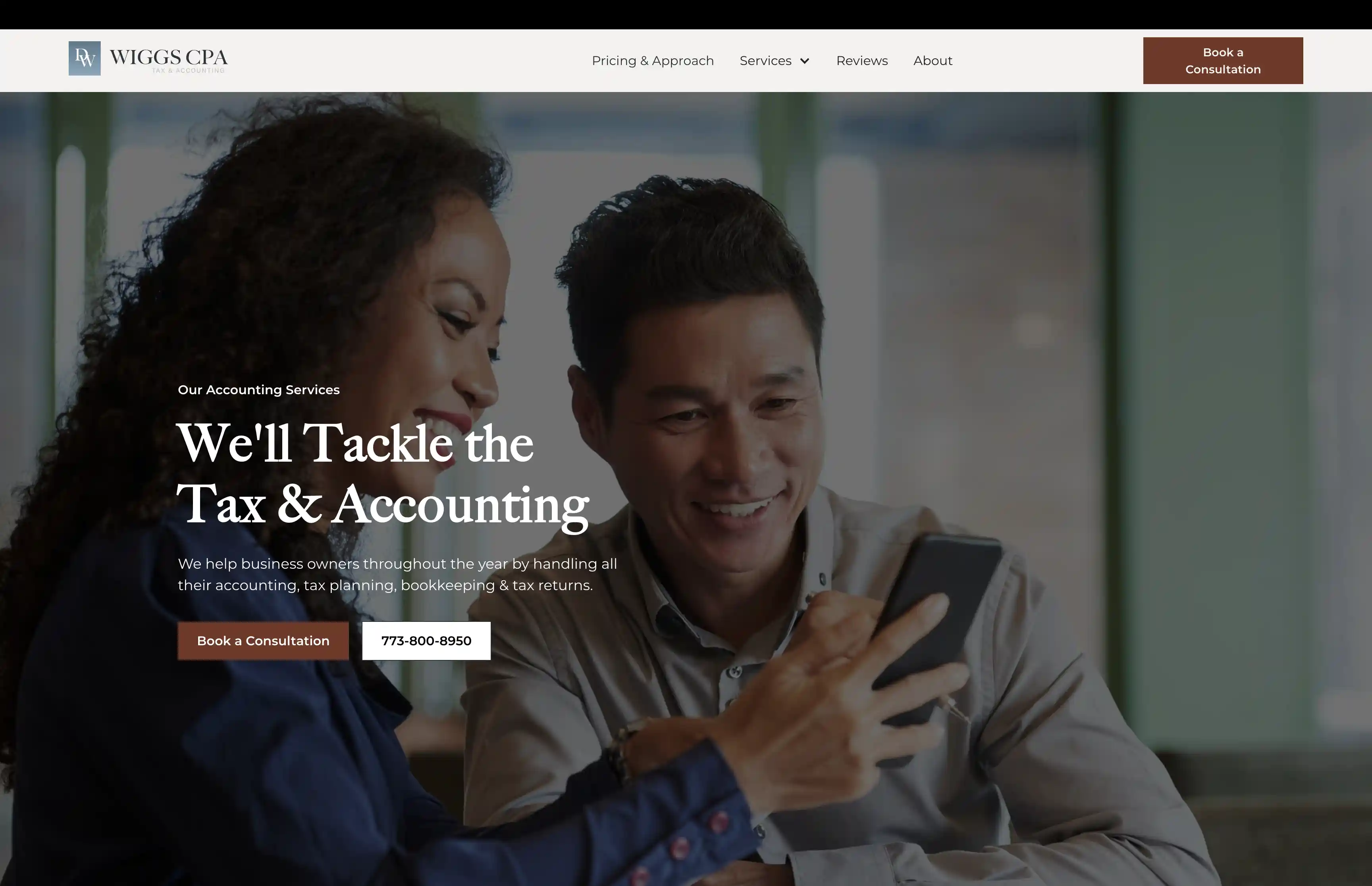 CPA Site Solutions Review & Compare Episode 1 - Wiggs vs. Alerding ...