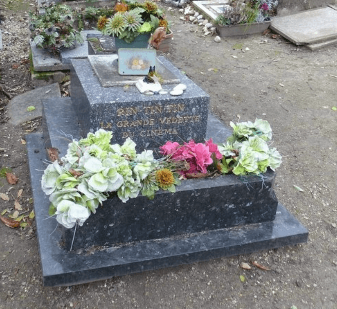 11 Famous Dog Memorials That Remember Remarkable Animals Forever