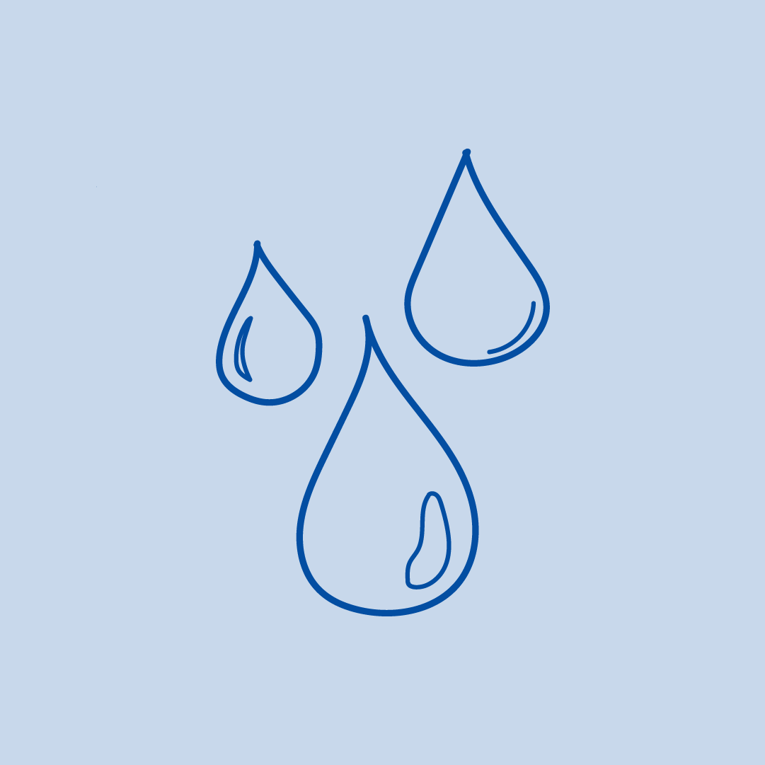 What is Aquamation and what is left after? | Eterneva