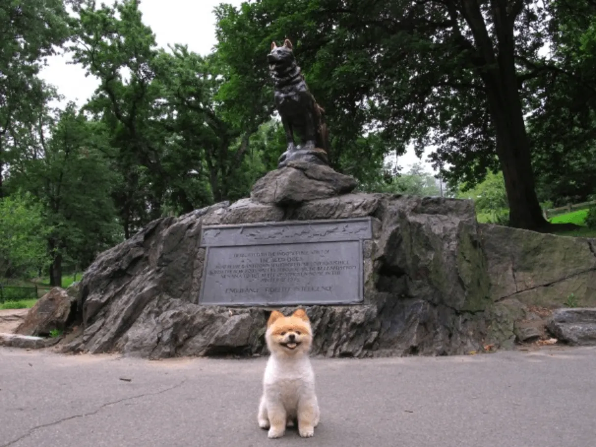 11 Famous Dog Memorials That Remember Remarkable Animals Forever