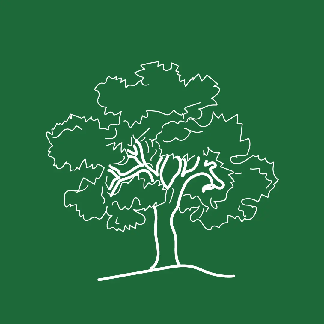 Types of Cremation: Exploring Green Cremation and Other Alternatives ...
