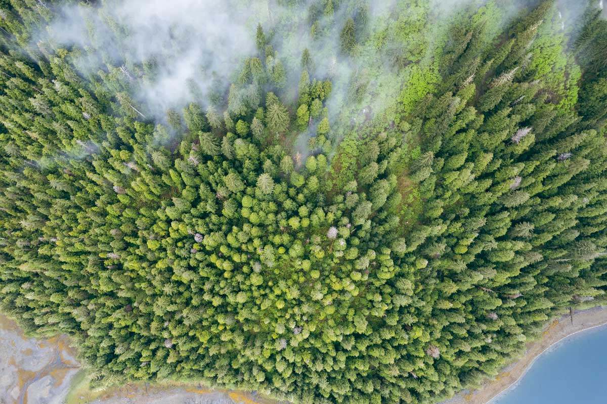 Just How Remote Is Remote? The History and Location of Pybus Point Lodge