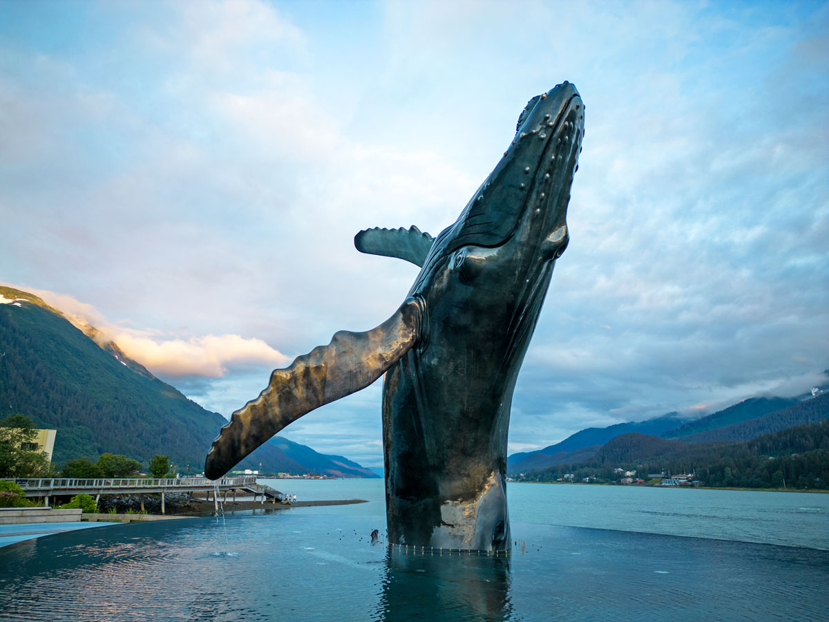 Top 10 Most Exciting Activities To Make Your Trip To Juneau Unforgettable!
