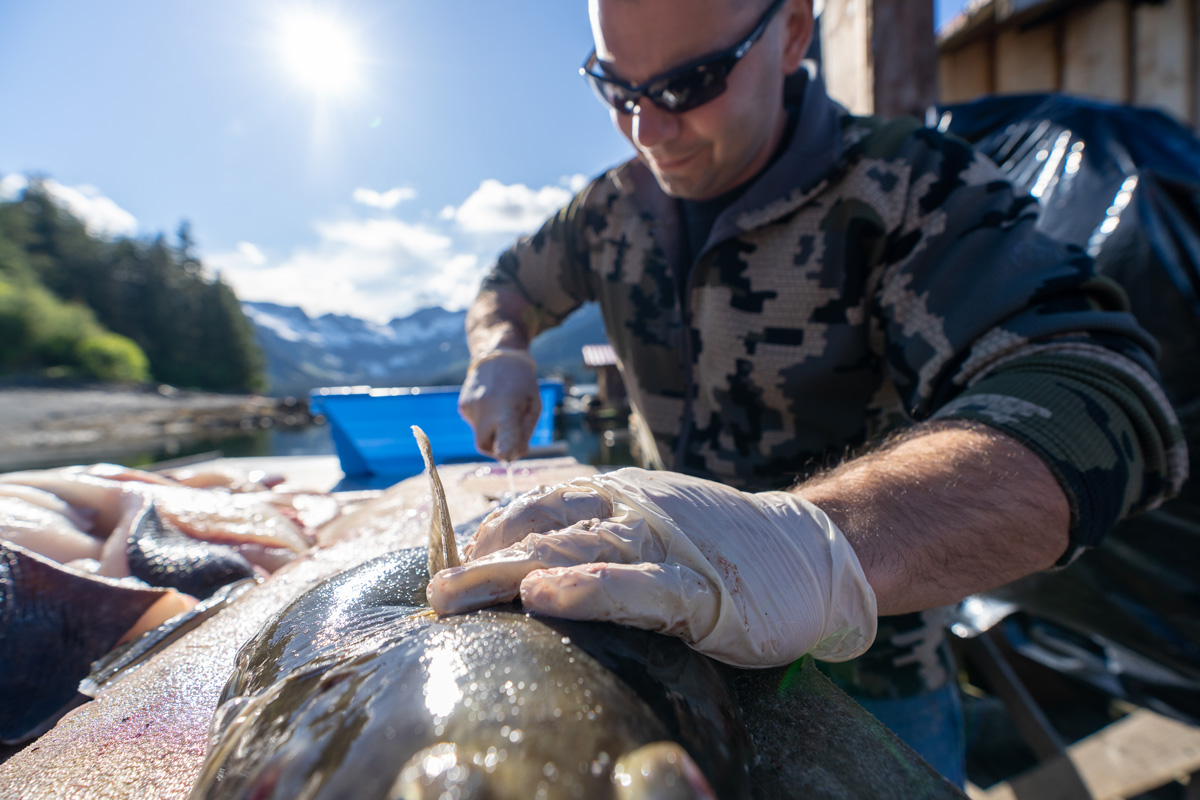 Fish Cleaning & Vacuum Sealing