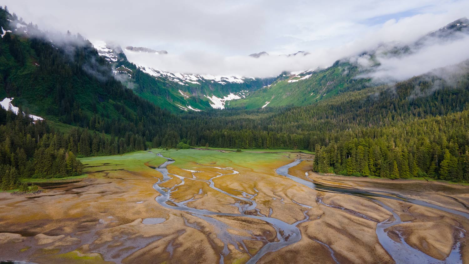 Freshwater Stream Fishing