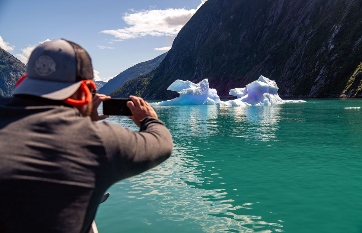 Experience the Ultimate Alaska Whale Watching Adventure at Pybus Point ...