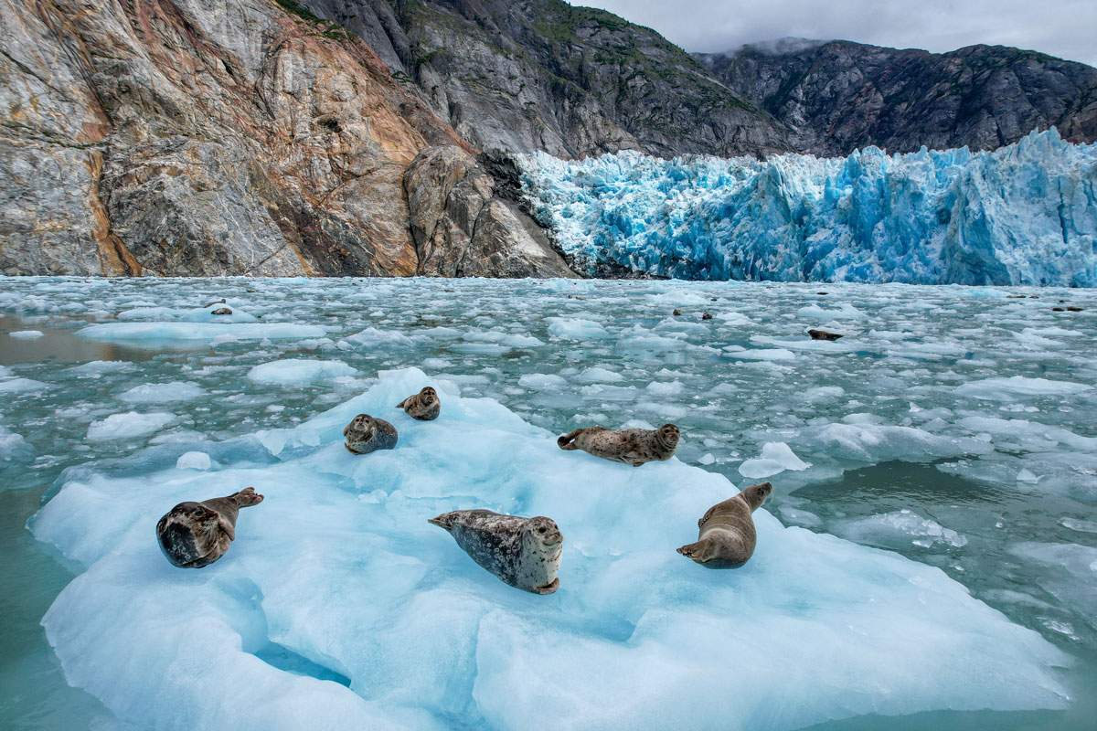 The Ultimate All-Inclusive Alaska Vacation for Couples