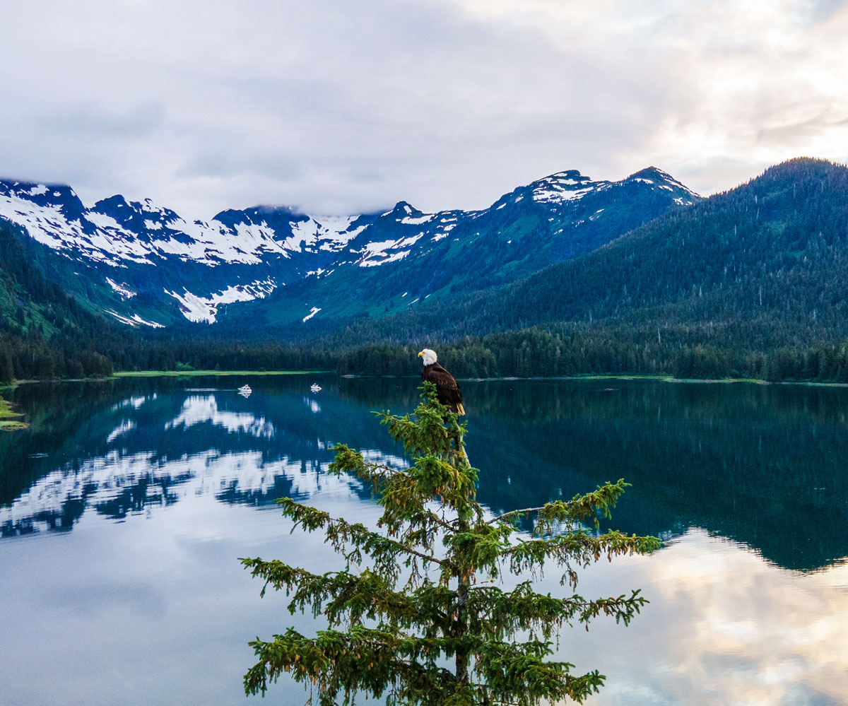 The Ultimate All-Inclusive Alaska Vacation for Couples