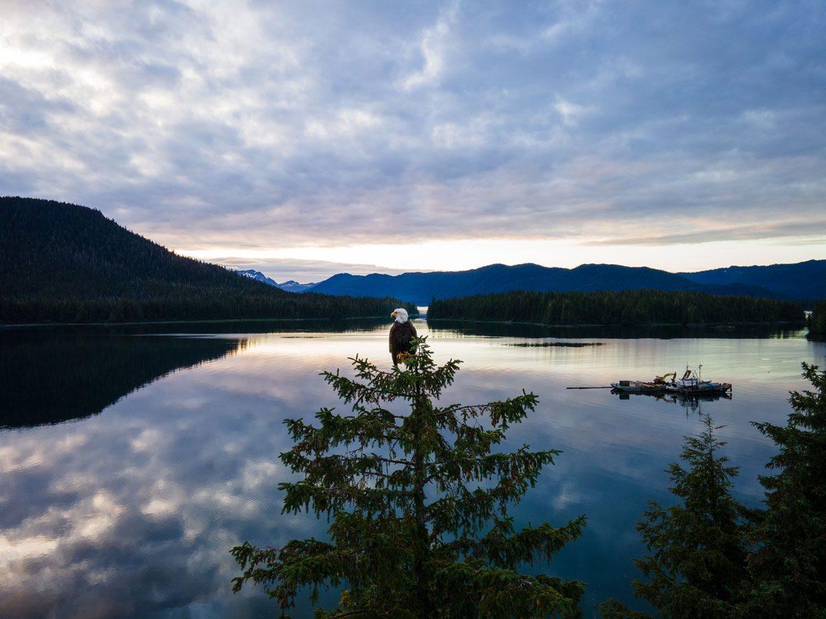Just How Remote Is Remote? The History and Location of Pybus Point Lodge