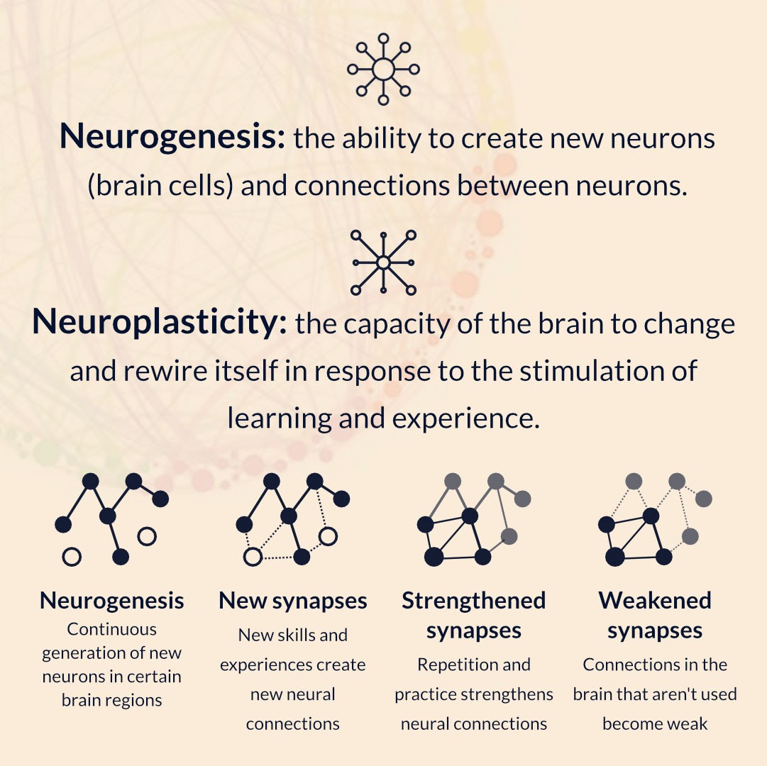 Psychedelics: Growing Brain Cells, Unlocking New Neural Connections