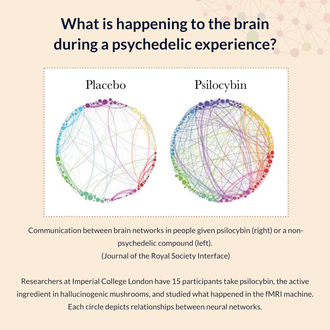 Psychedelics: Growing Brain Cells, Unlocking New Neural Connections