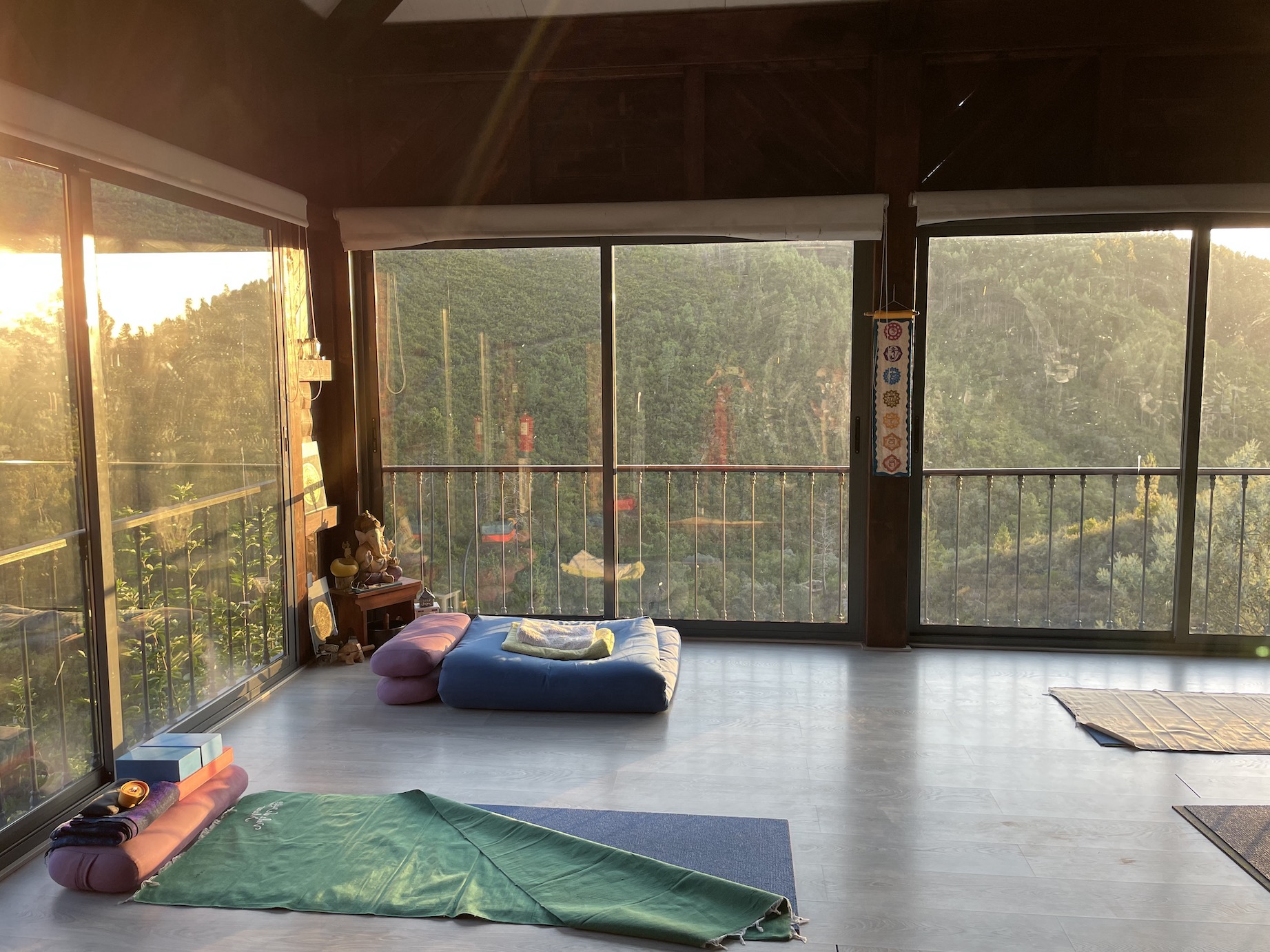 5-MeO-DMT: The Psychedelic Toad Experience