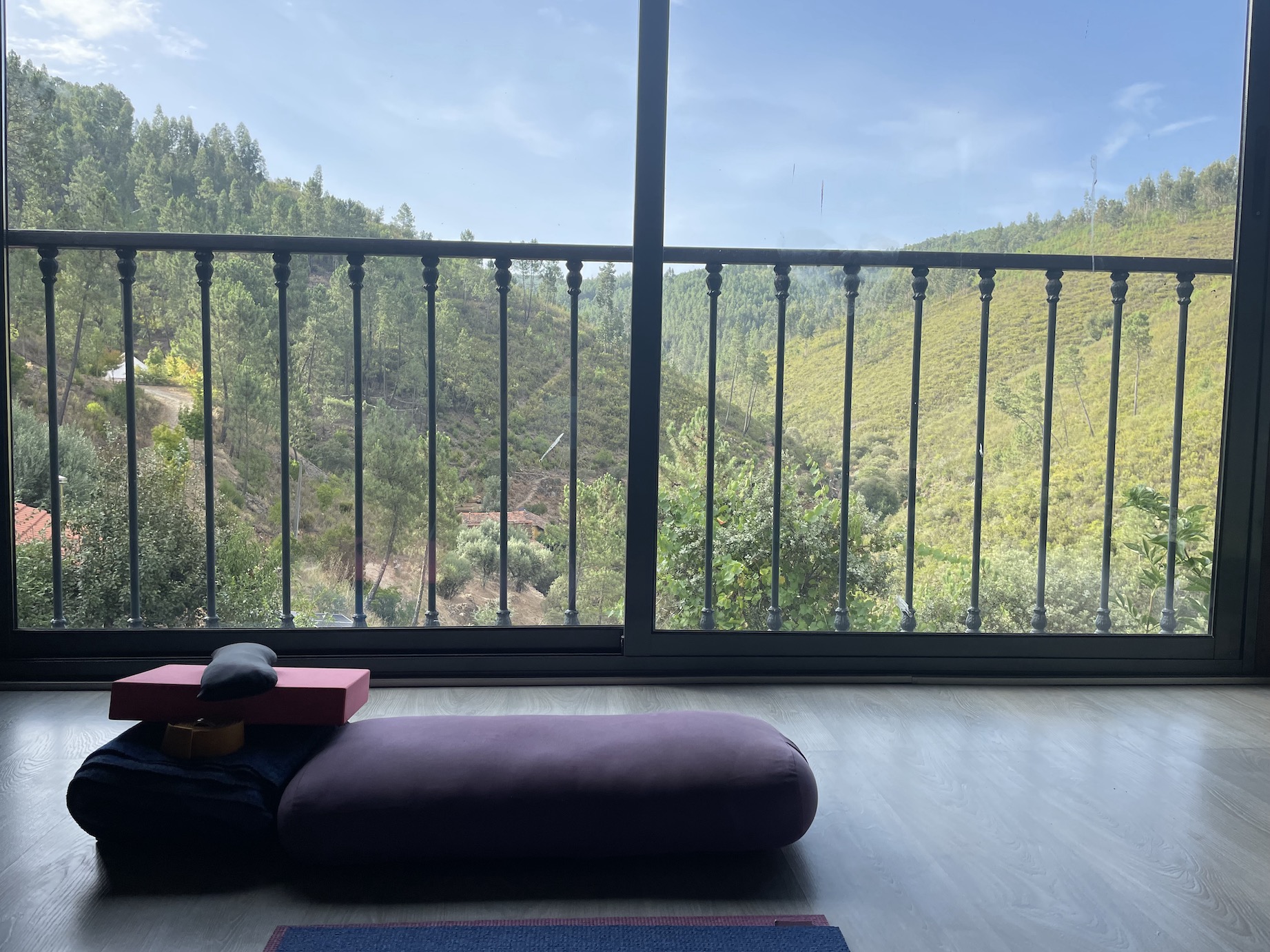 5-MeO-DMT: The Psychedelic Toad Experience