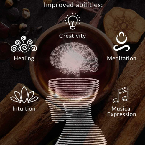 Ayahuasca Retreats USA: The Complete 2024 Guide