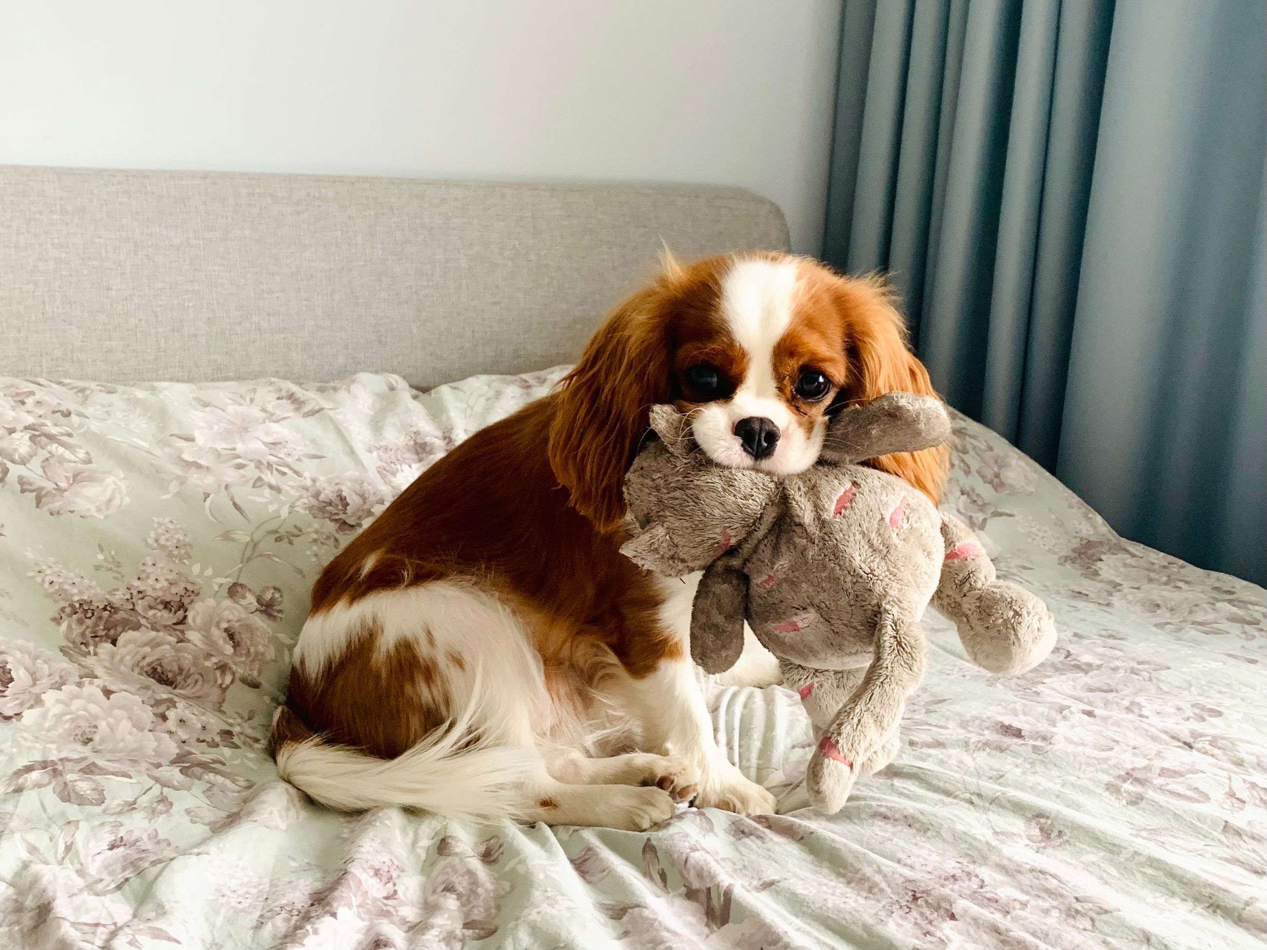 Work With Us! Modash Careers