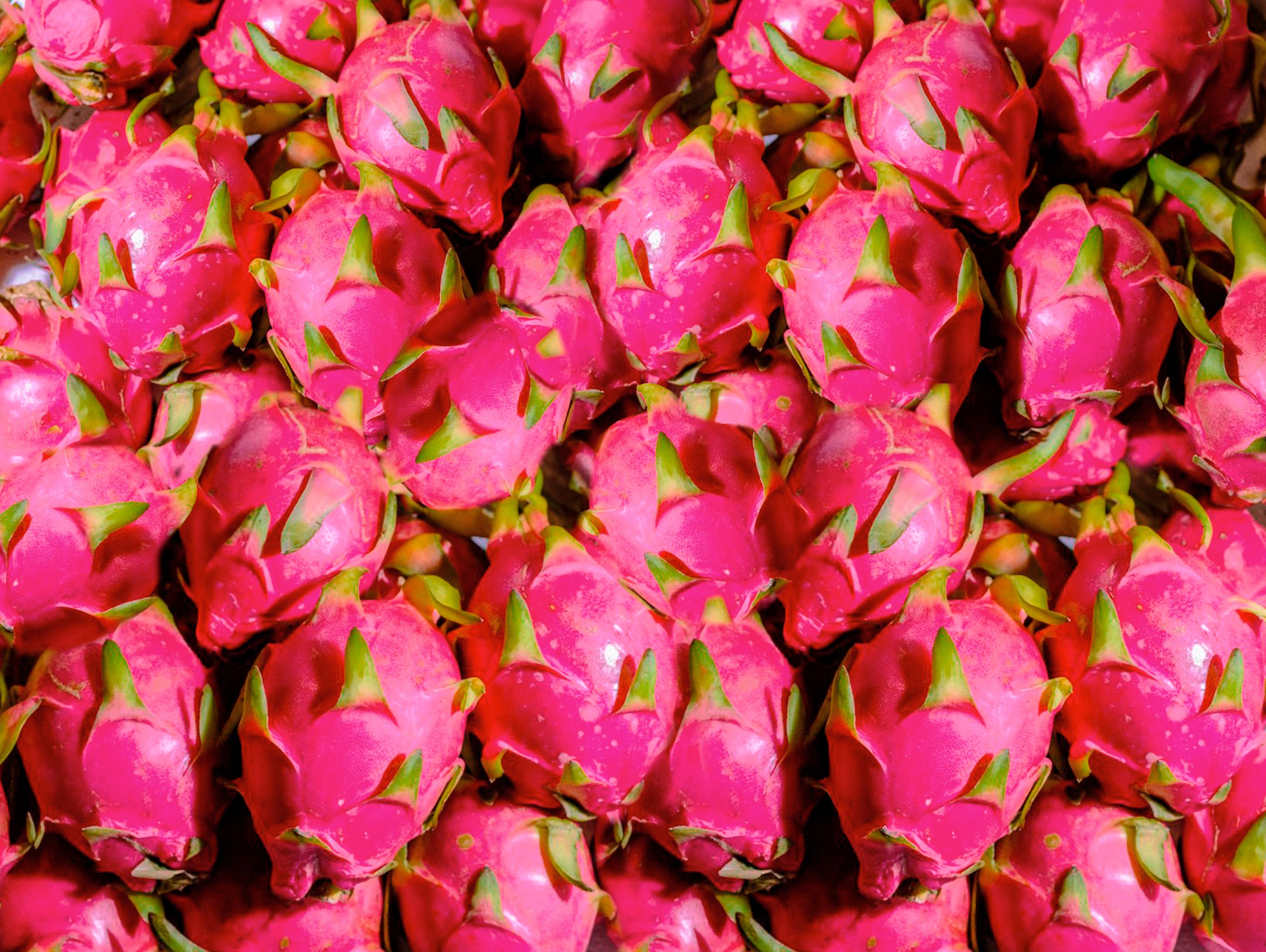 MeloMelo Coconut Dessert • Naturally Delicious