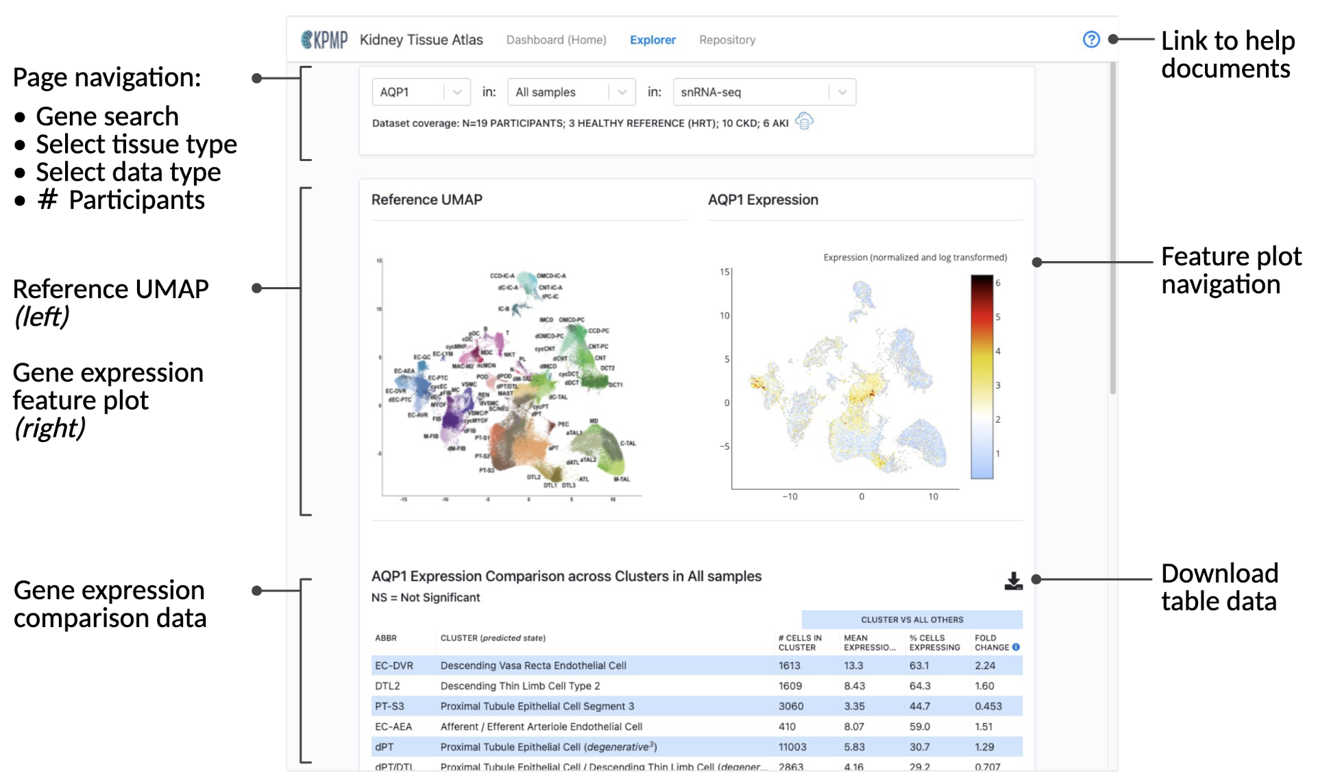 How to use the Atlas