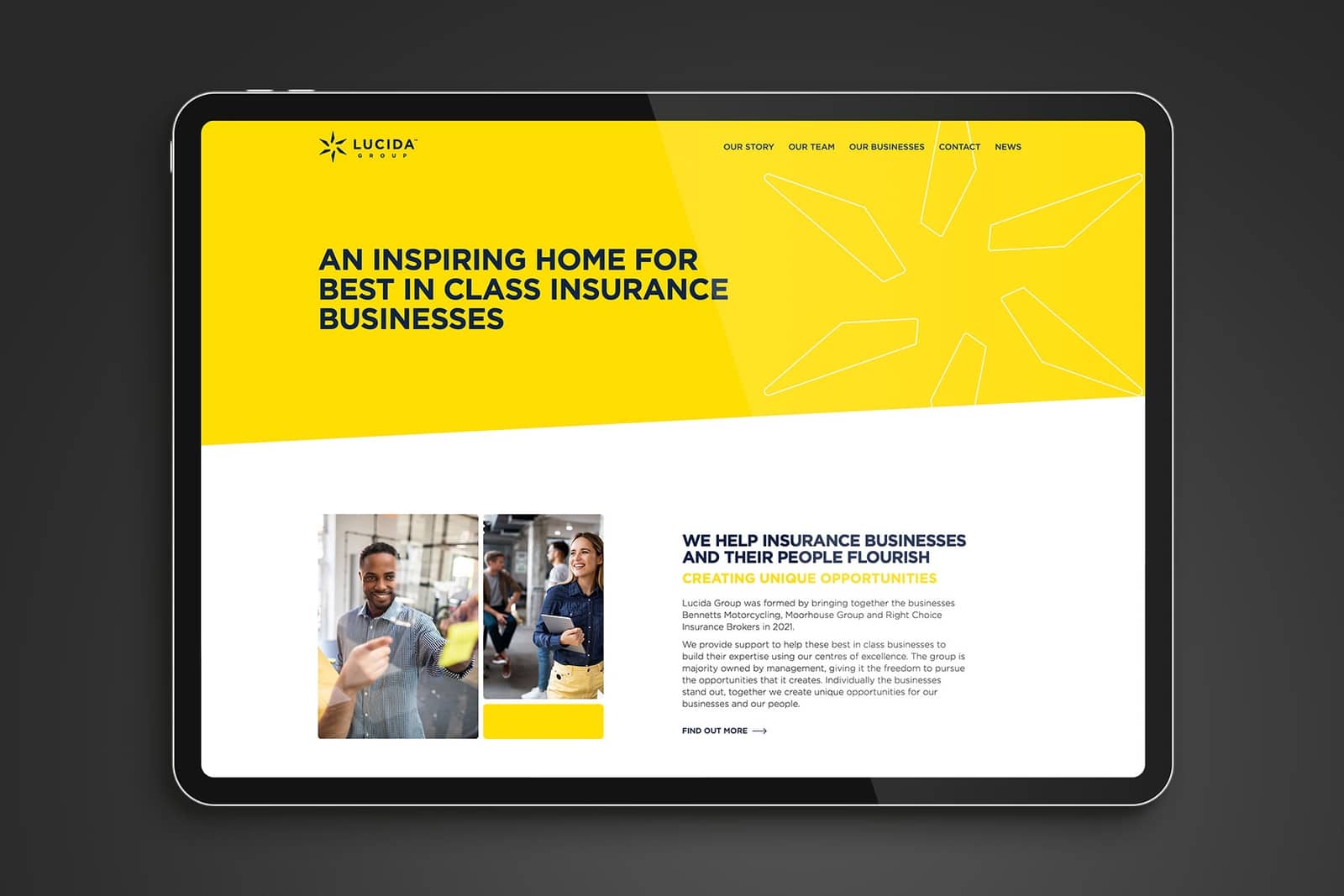 Lucida Group | Branding Design Work | T.Rex Design®