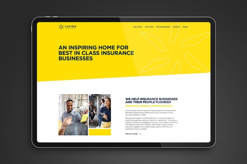 Lucida Group | Branding Design Work | T.Rex Design®