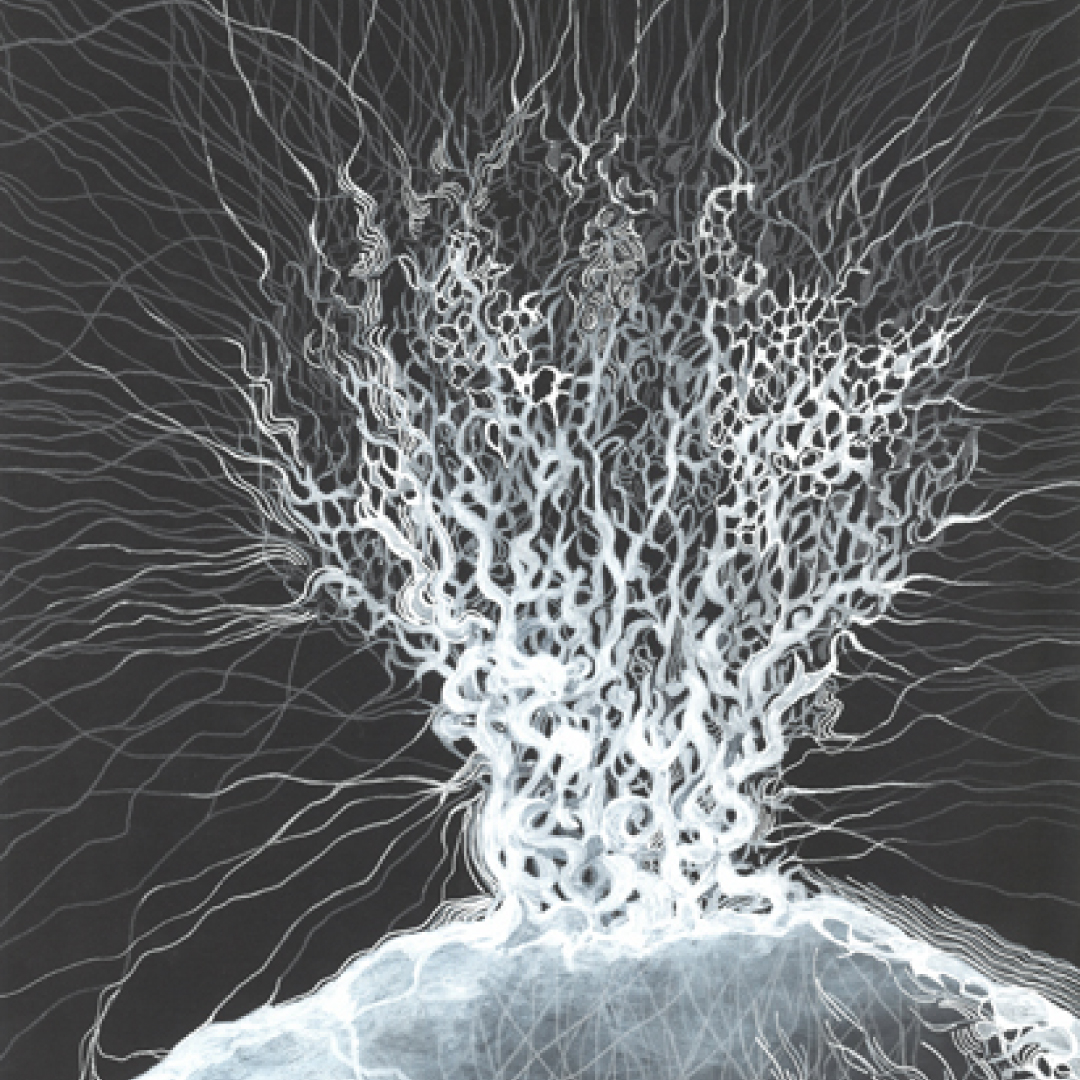 Fatal Flaw - Lavinia Munteanu