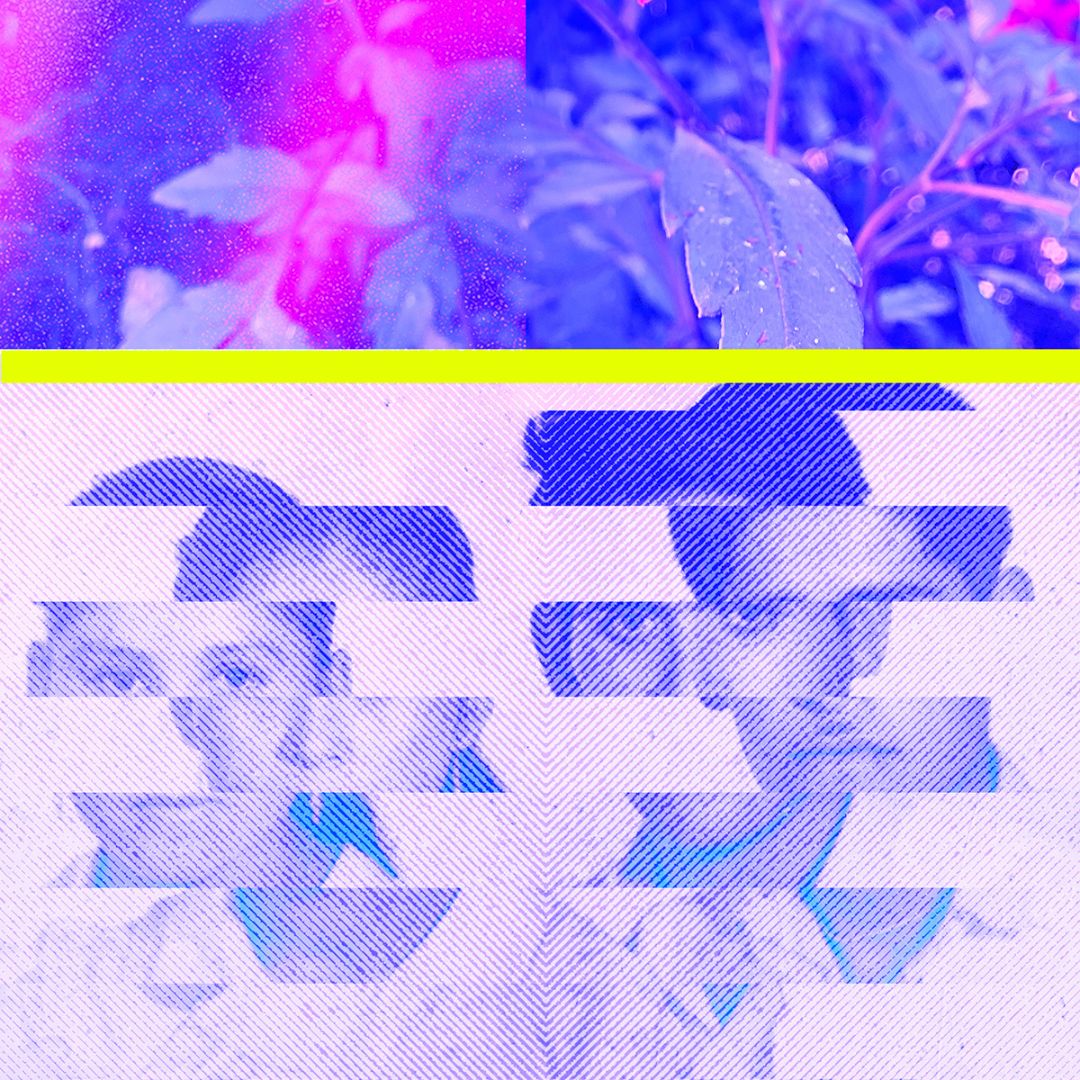 Fatal Flaw - Edgar Reyes