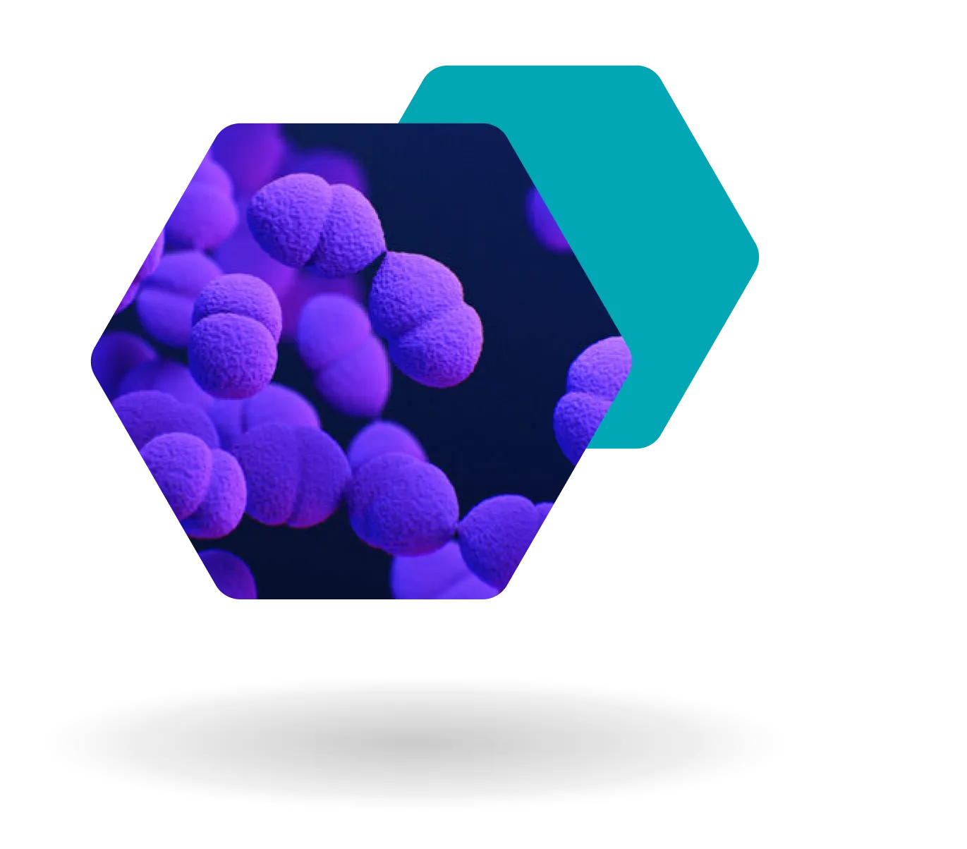 Paratek Pharma | Medical Affairs