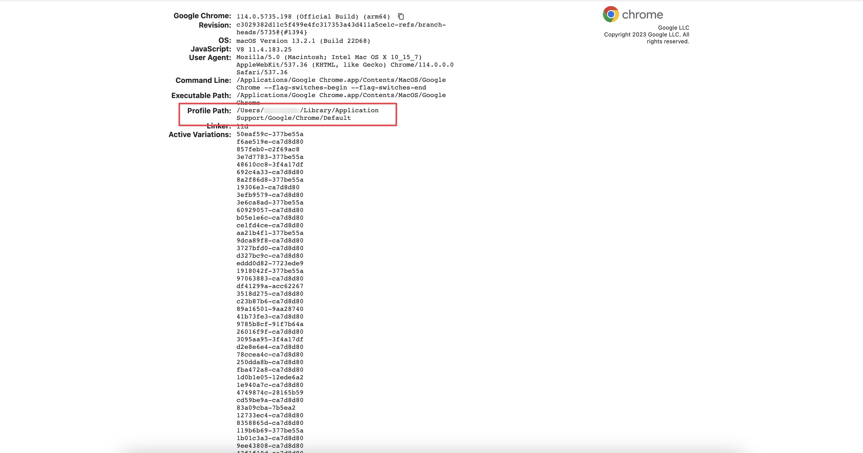 Session Buddy lost all your sessions? How to recover sessions from Session Buddy | Partizion