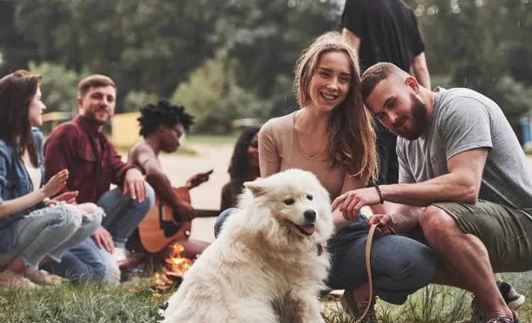 ESA Letters For Your Pet – Fast, Easy & Legitimate | Pettable