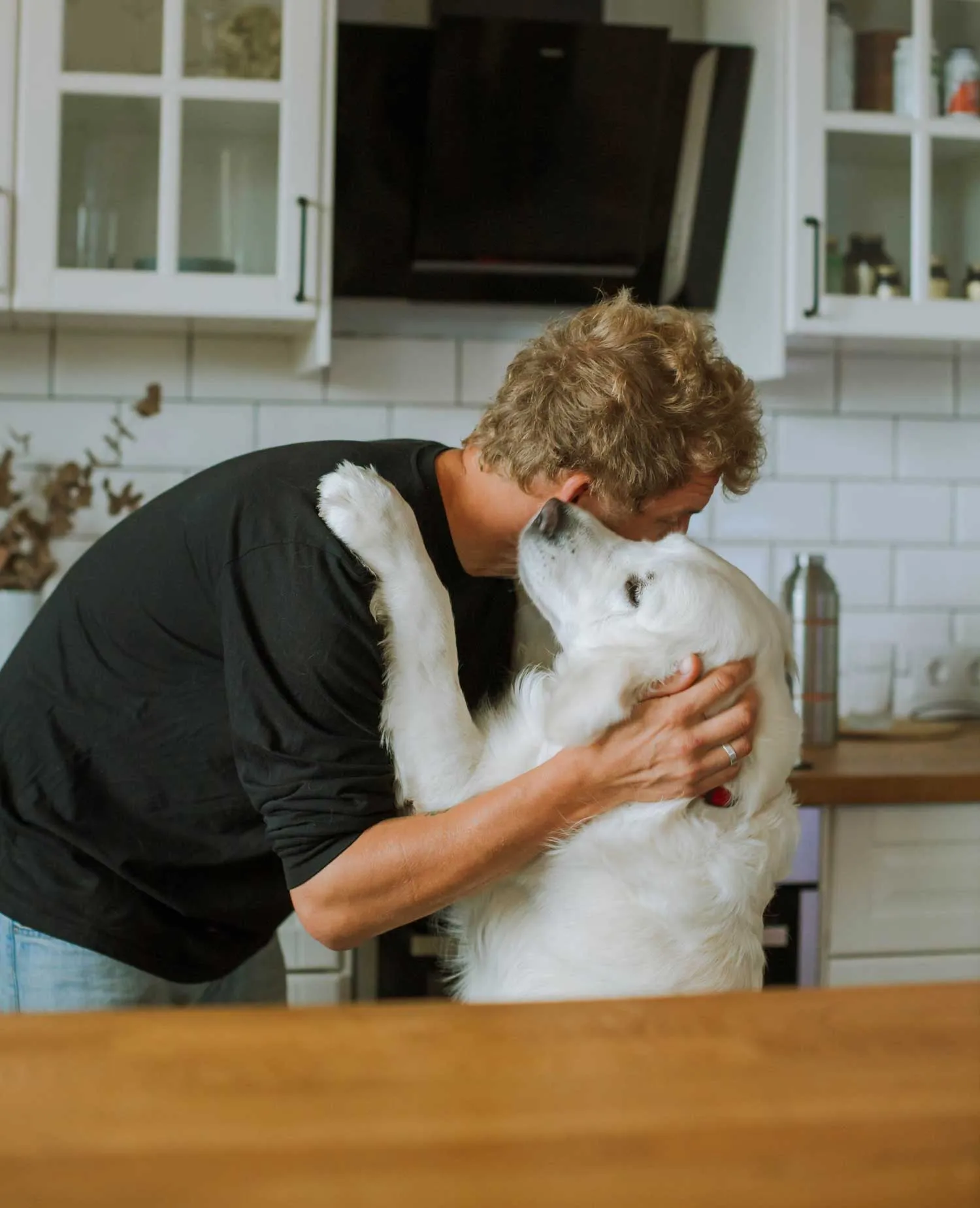 Online Dog Training Courses for Puppies & Adult Dogs | Pettable Academy
