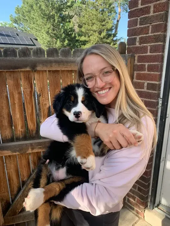 Online Dog Training Courses for Puppies & Adult Dogs | Pettable Academy