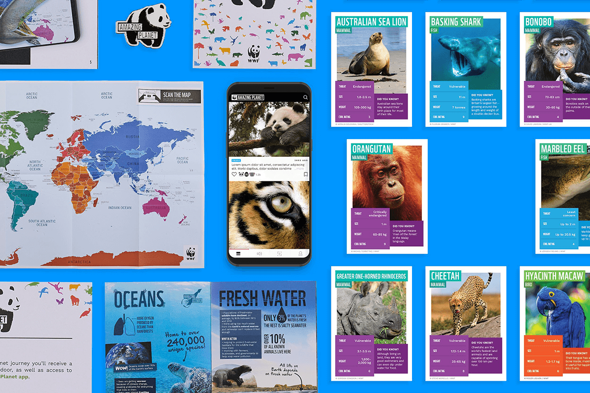 The LEAGUE - Projects - Built a digital subscription product with ...