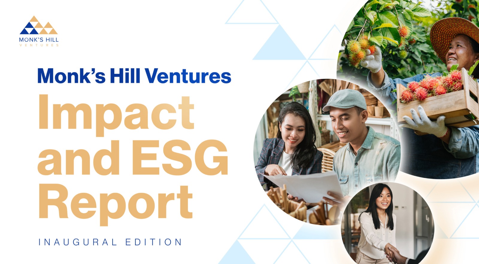 Monk's Hill Ventures Impact & ESG Report | MHV