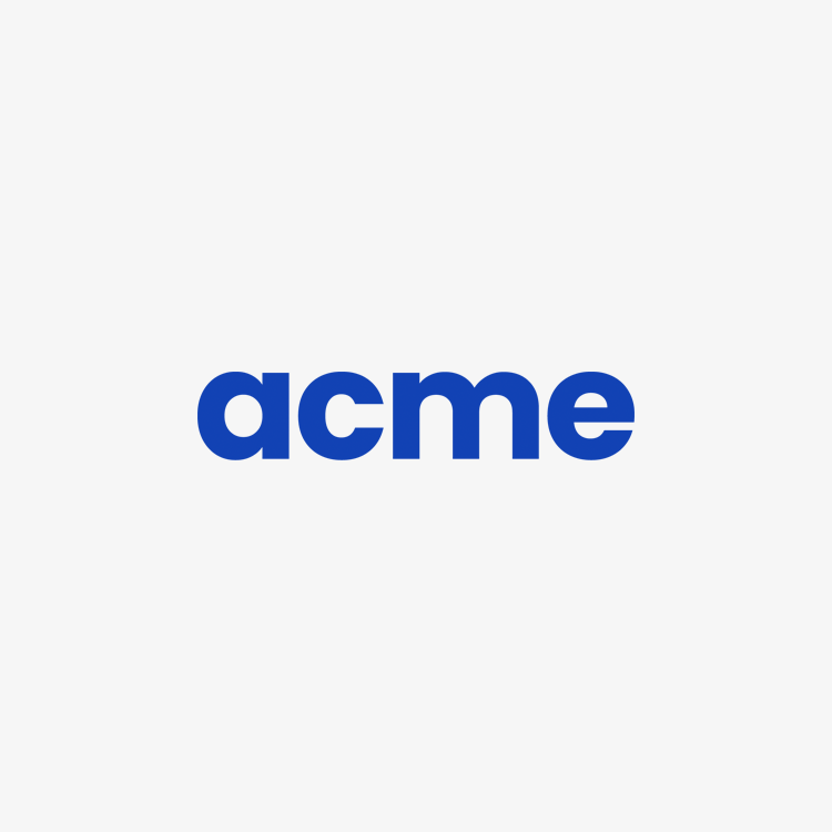 MHV Portfolio: Acme - Fintech