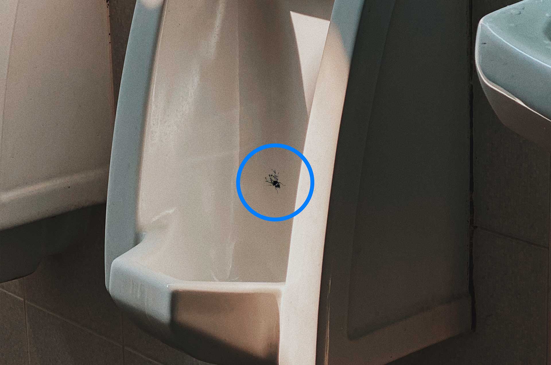 Nudging: Eine Methode um Verhalten und Gewohnheiten zu verändern.‍