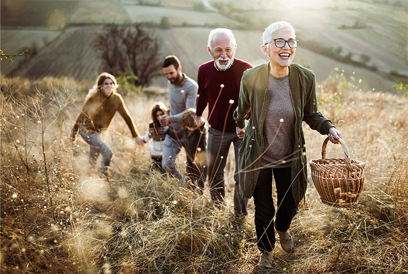 Insurance Solutions and Financial Strategy at World Financial Group