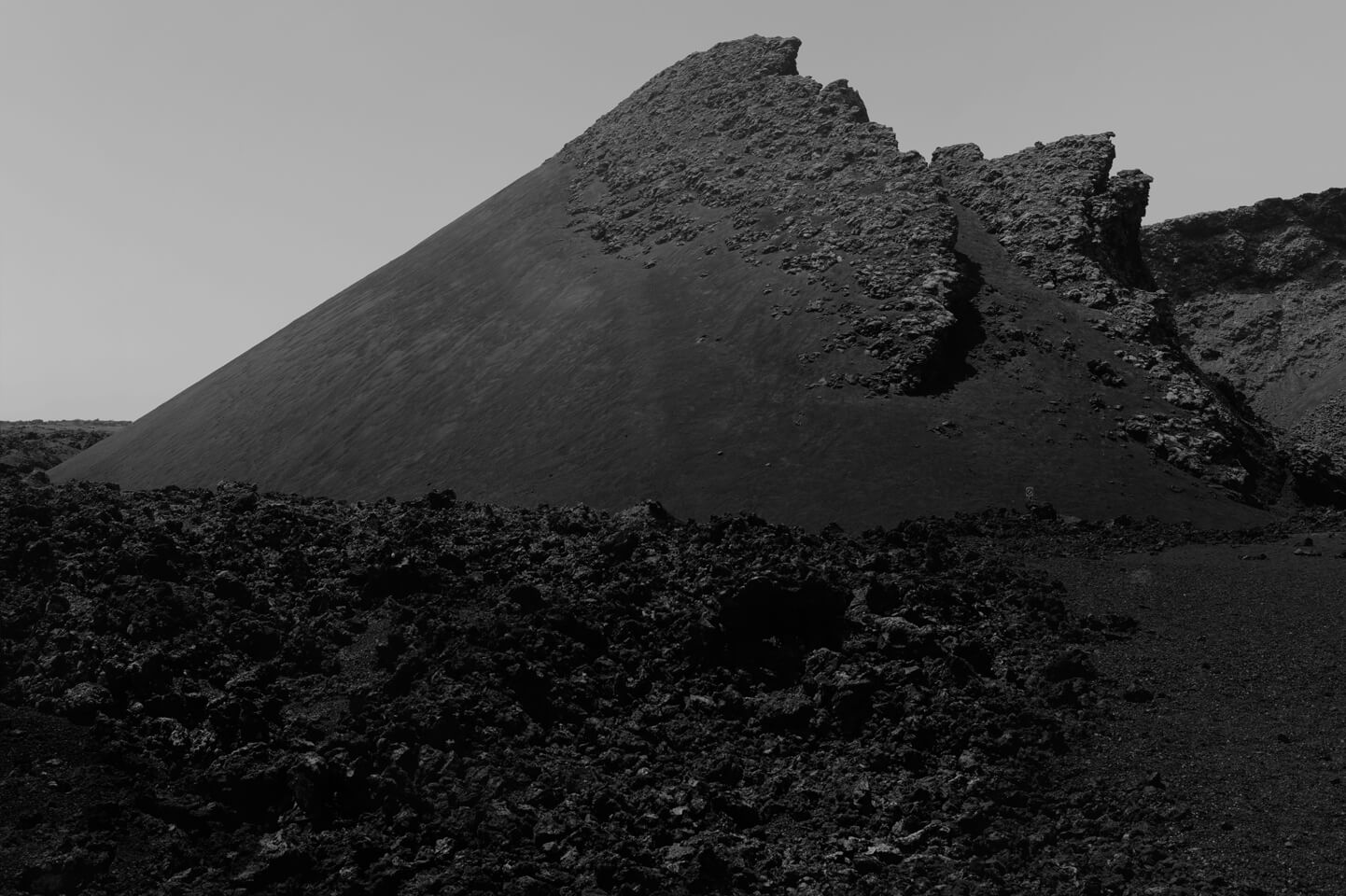 Fine Art | ALPA Field of Application