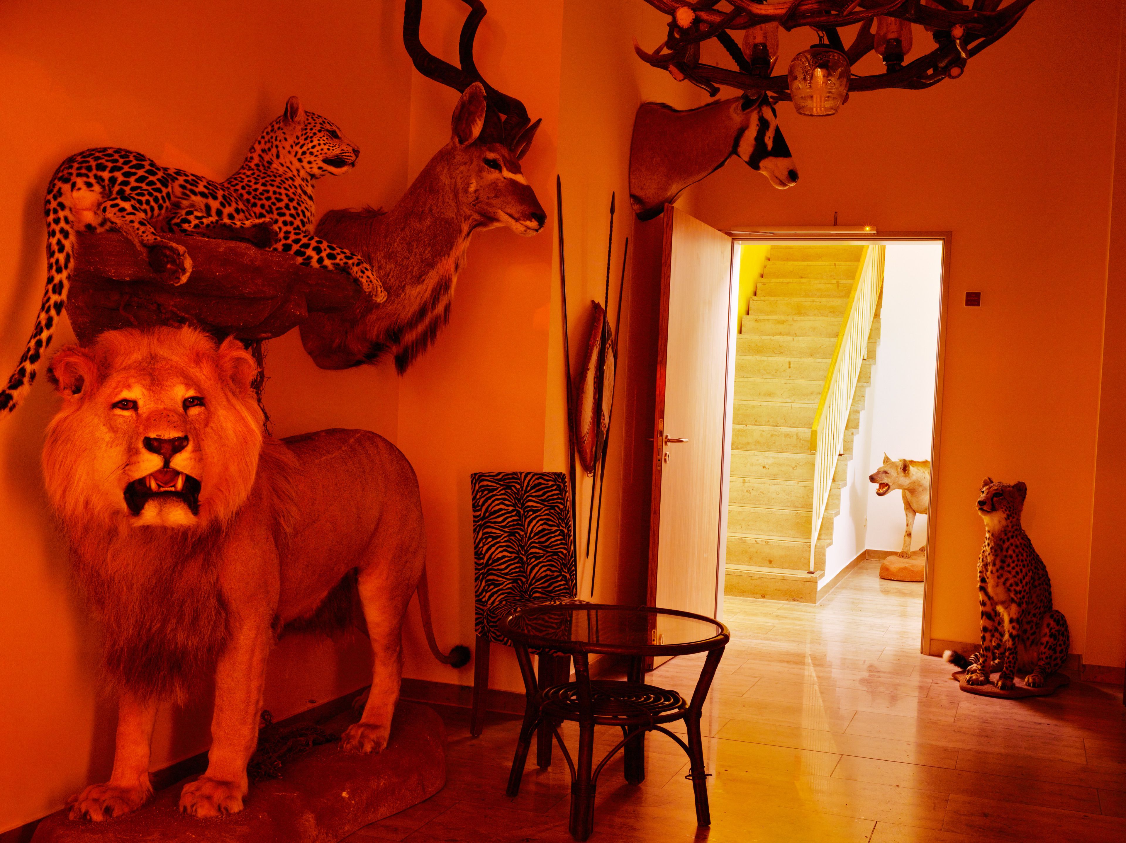 Signs by Jegor Zaika | ALPA Image Gallery