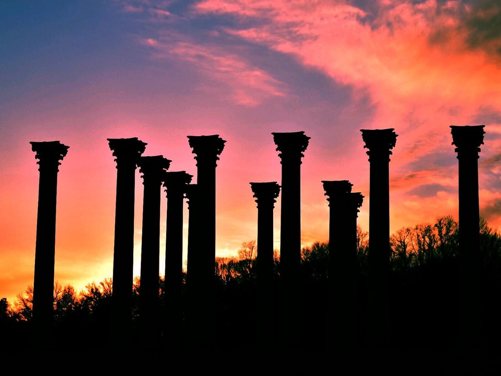 Building A Multi Column Online Form Formstack Blog