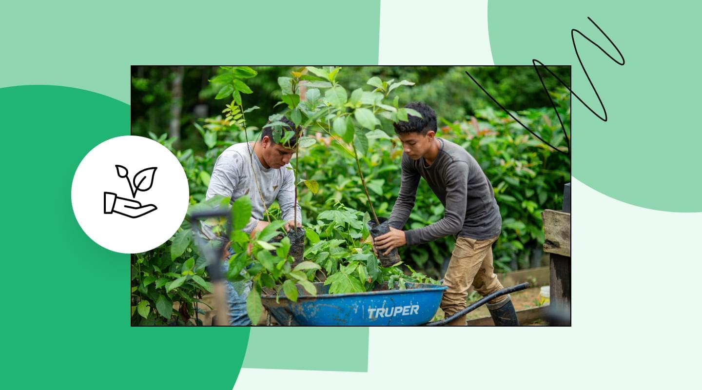 Celebrating Earth Month with Formstack Forests