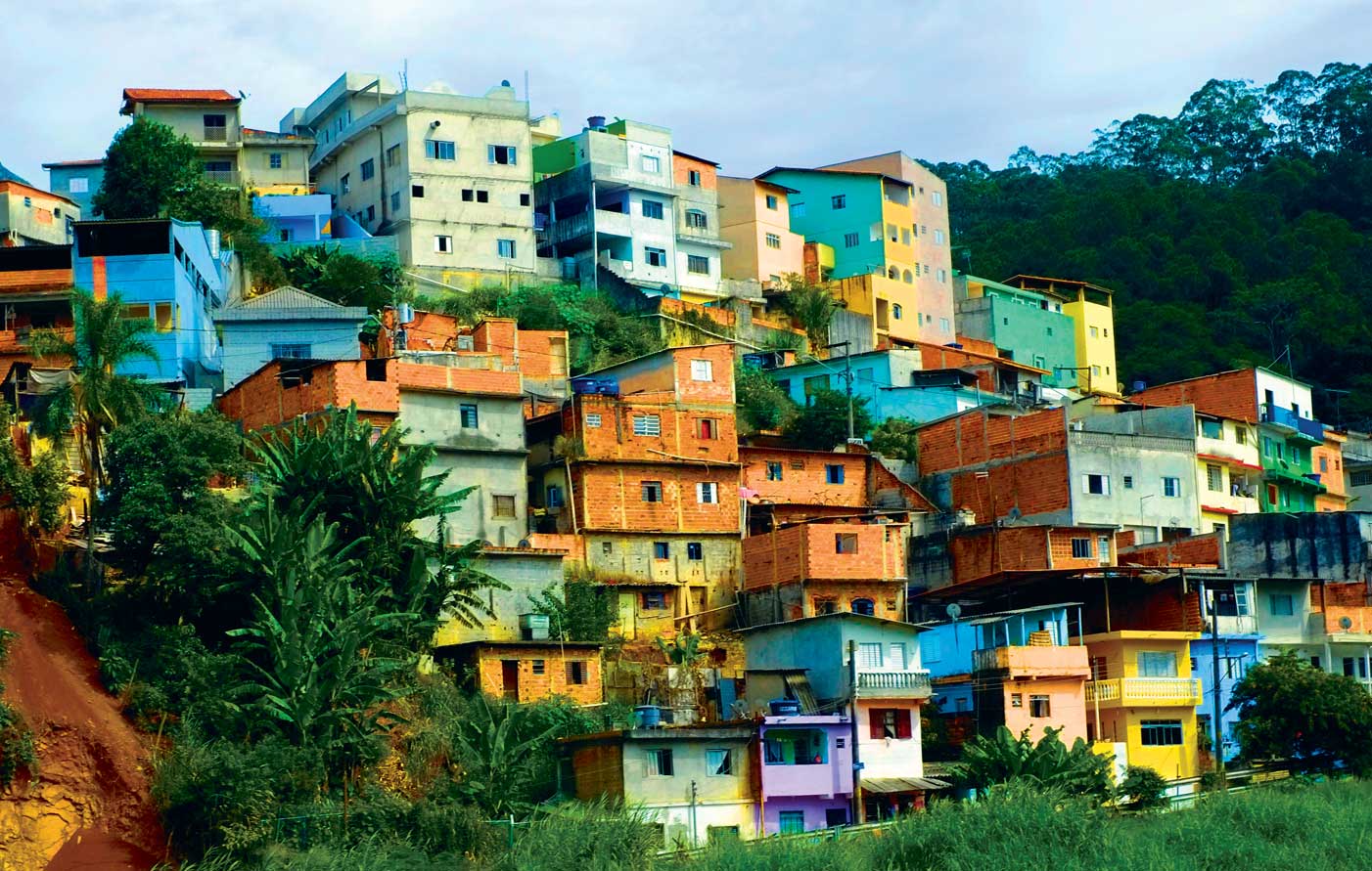 Brick by Brick: The Favela, the B Corp, and New Hope for Brazil