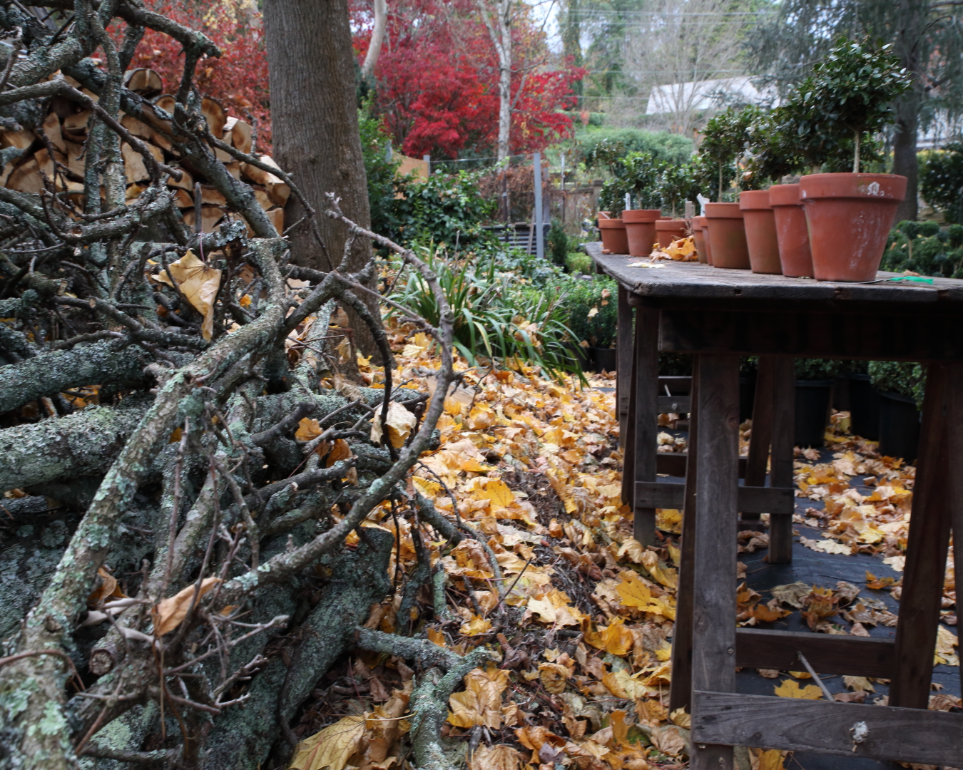 Business - Webflow HTML website template