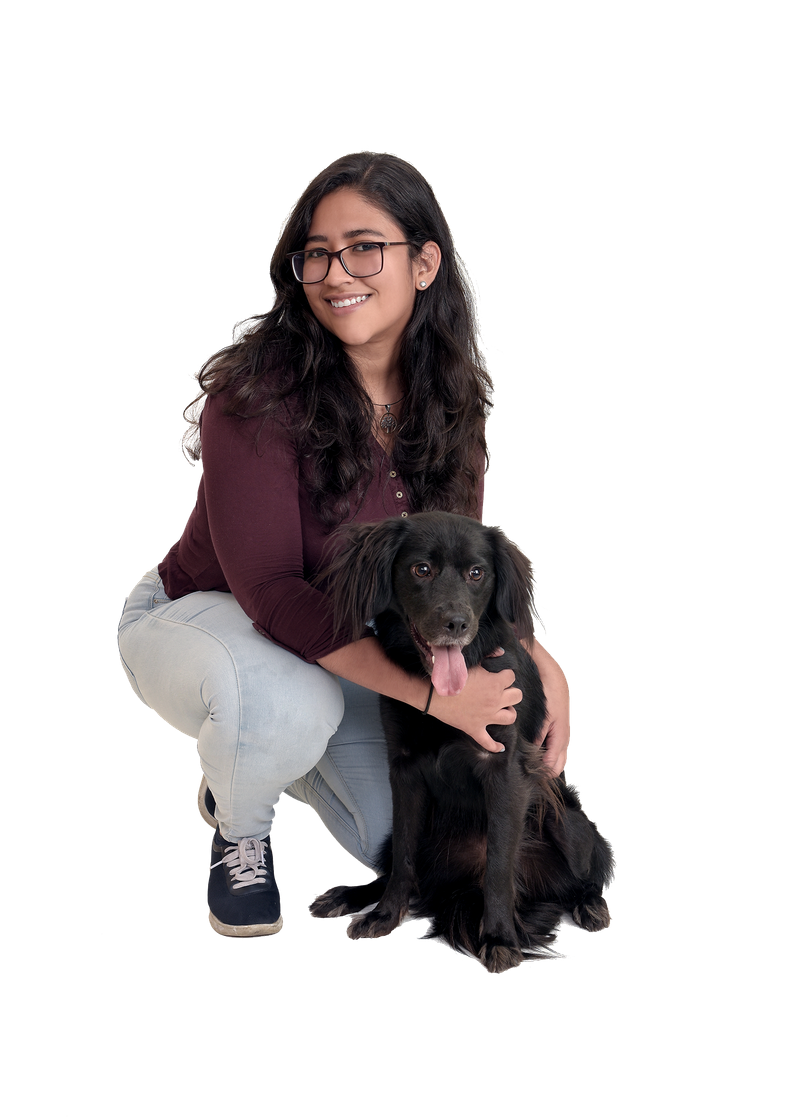 London College of Animal Osteopathy