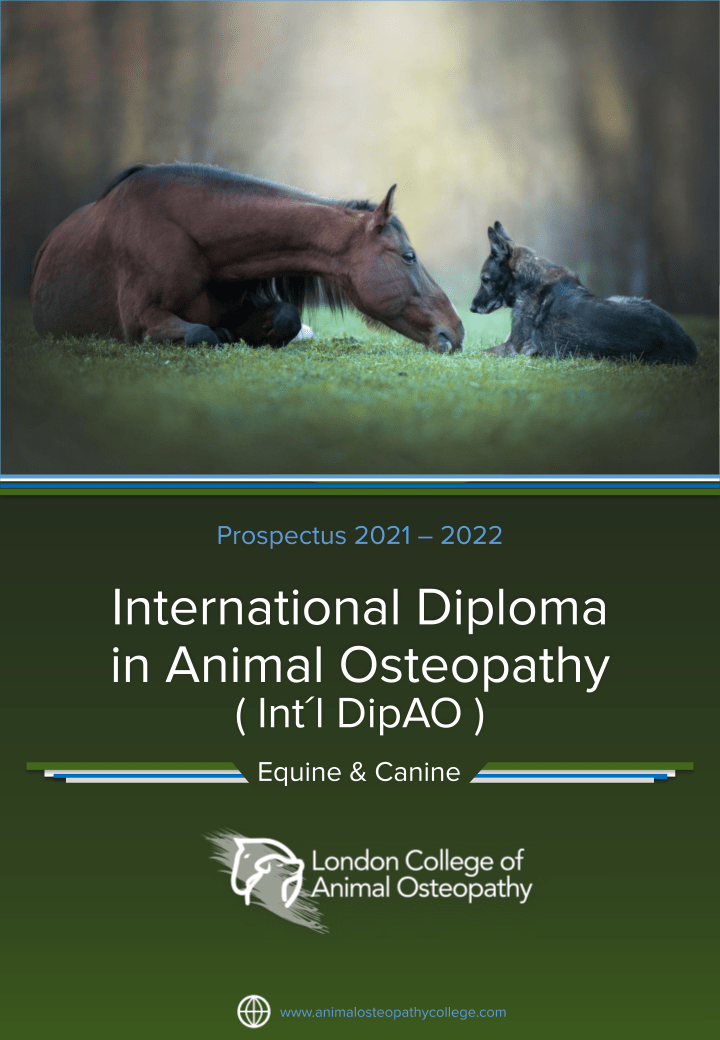 Equine Pathology & Diseases