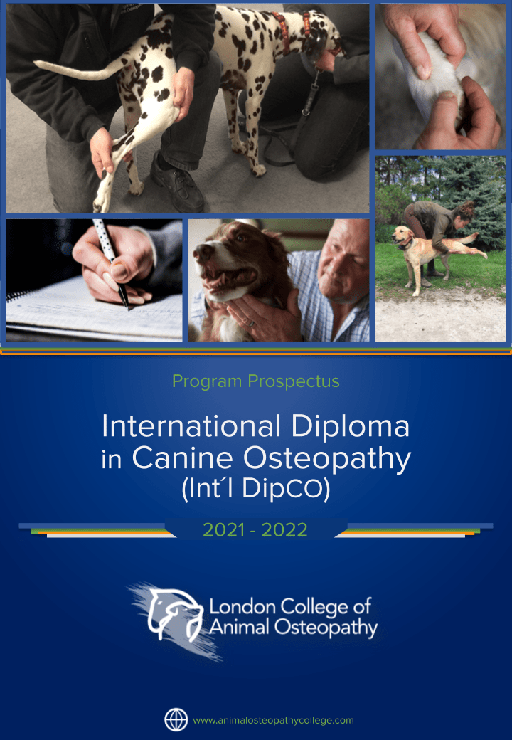 Equine Pathology & Diseases